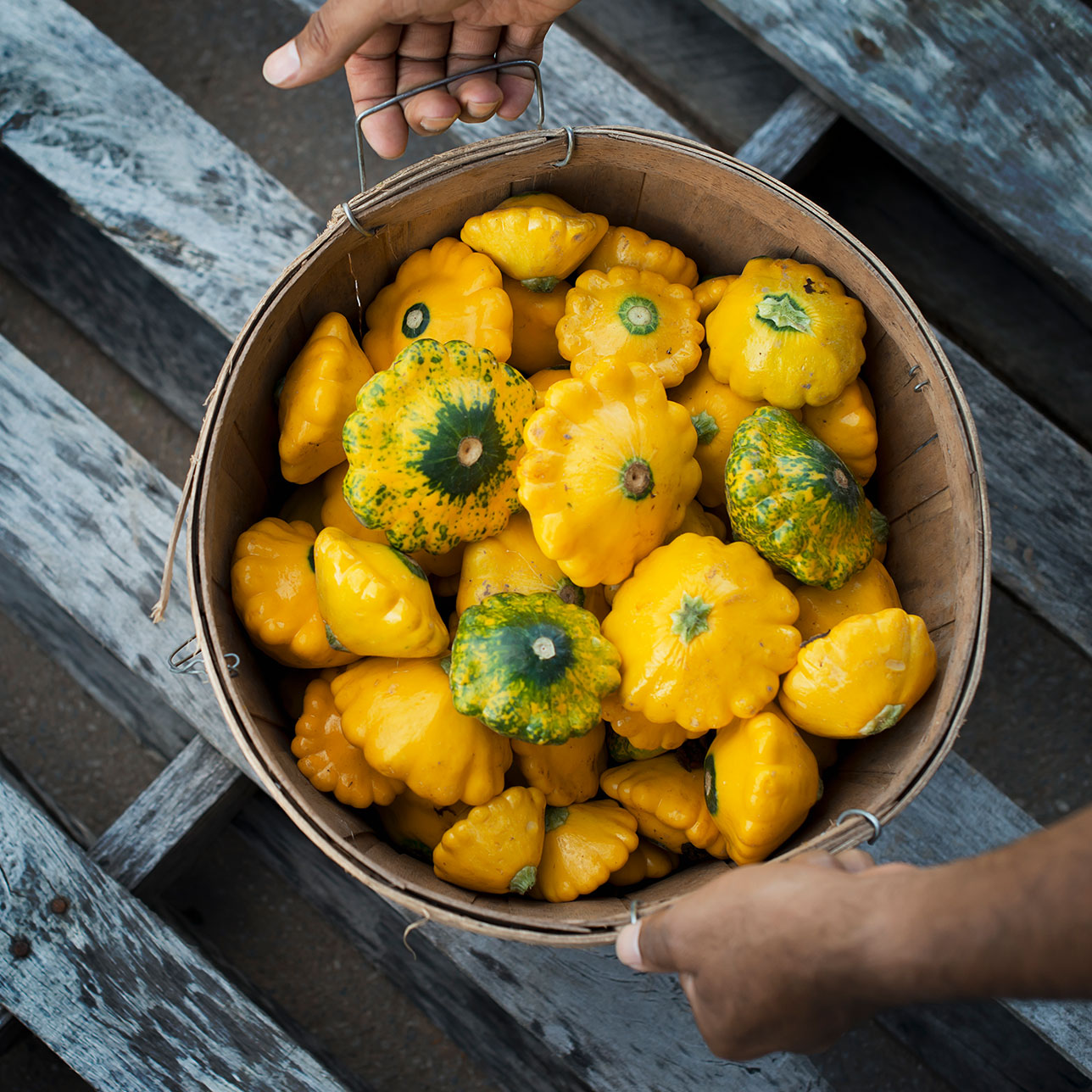 Patty Pan | Butcher Shop